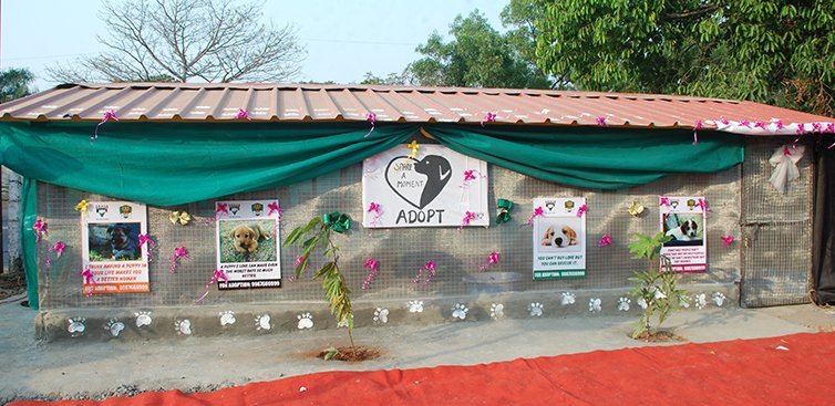 Animal Welfare – Ekata Manch