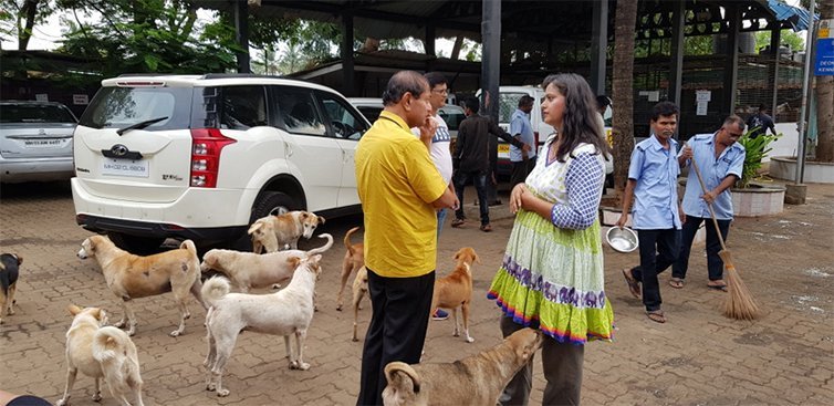 Animal Welfare – Ekata Manch